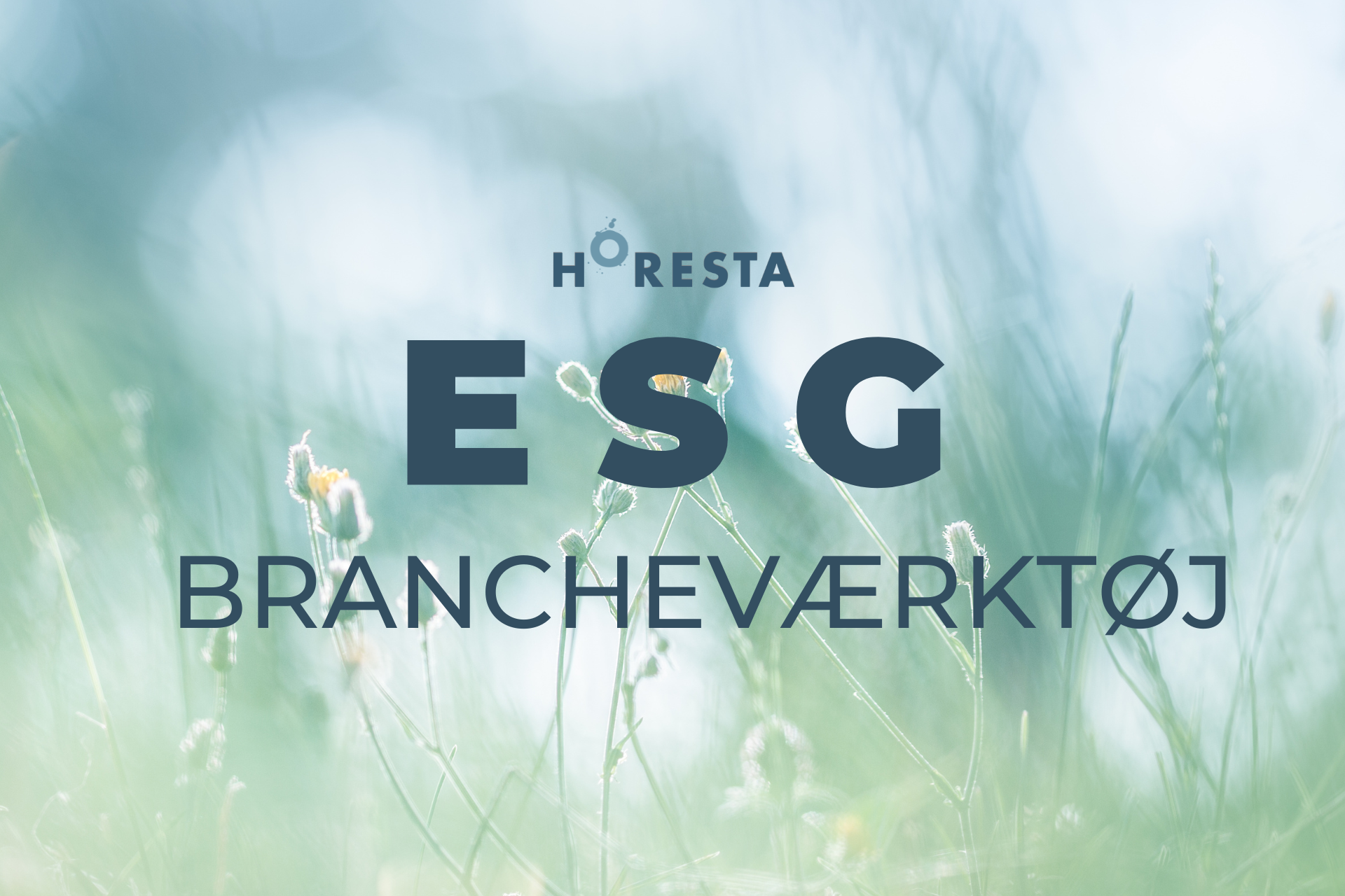 HORESTA på vej med et automatiseret ESG-værktøj